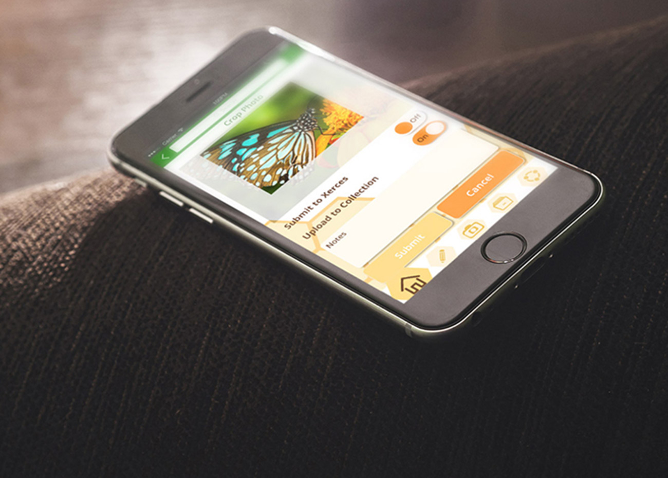 Insect Insanity | Veronica DeBoisbriand